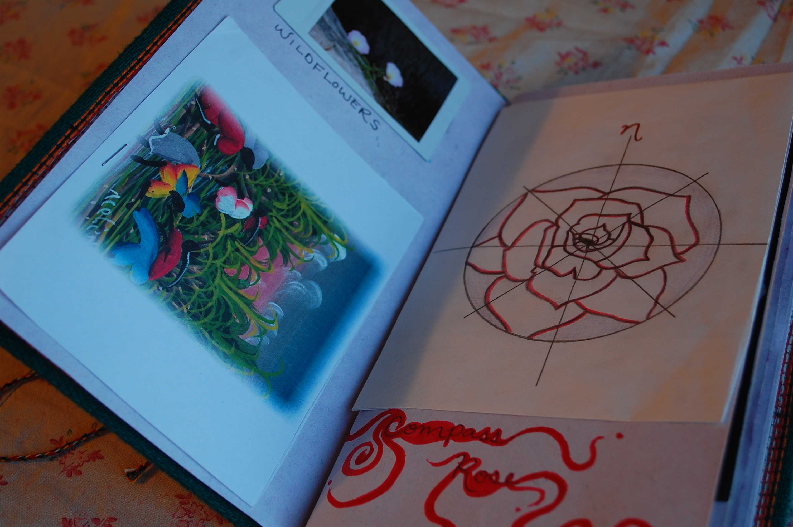 The girl that I was – Whitley Cally