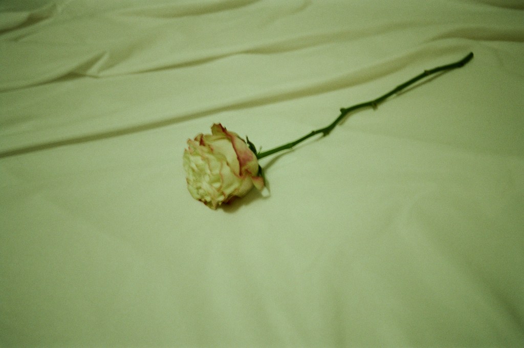 A woman is a woman – Whitley Cally