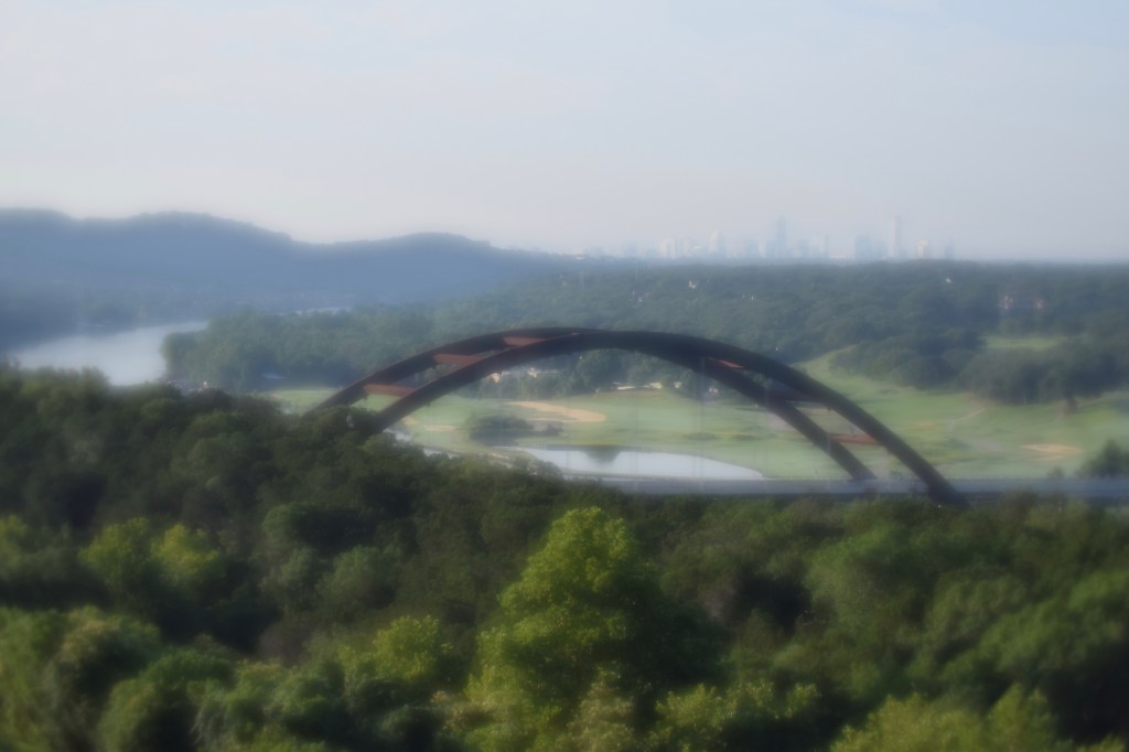 Whitley Cally – The artist and the art.