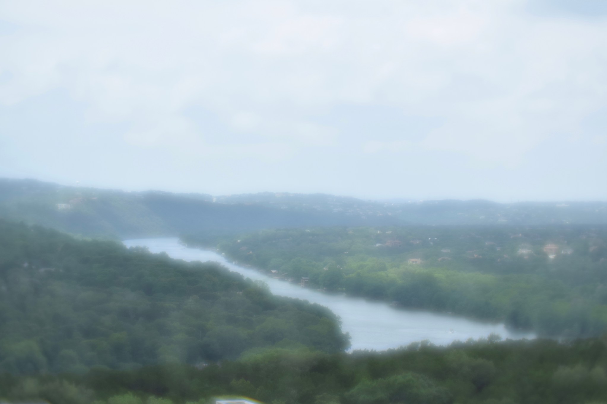 Whitley Cally – The artist and the art.