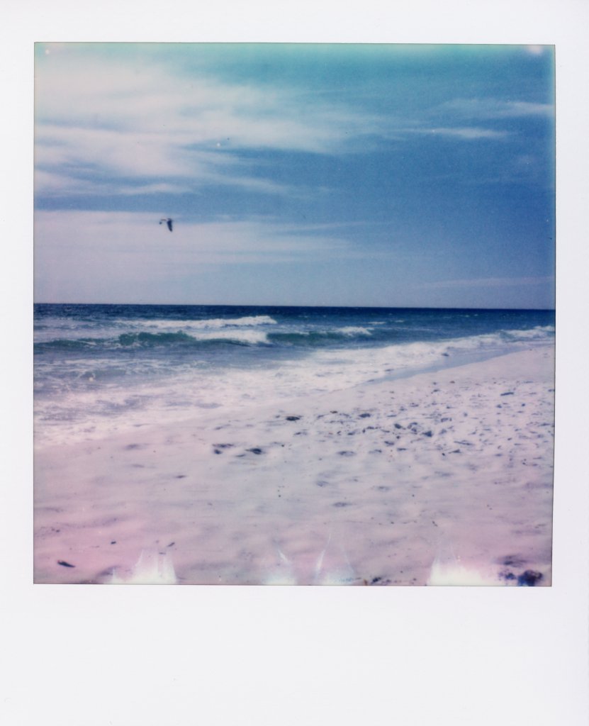 Whitley Cally – The artist and the art.