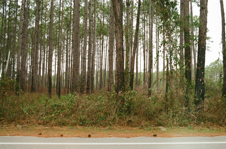 Whitley Cally – The artist and the art.