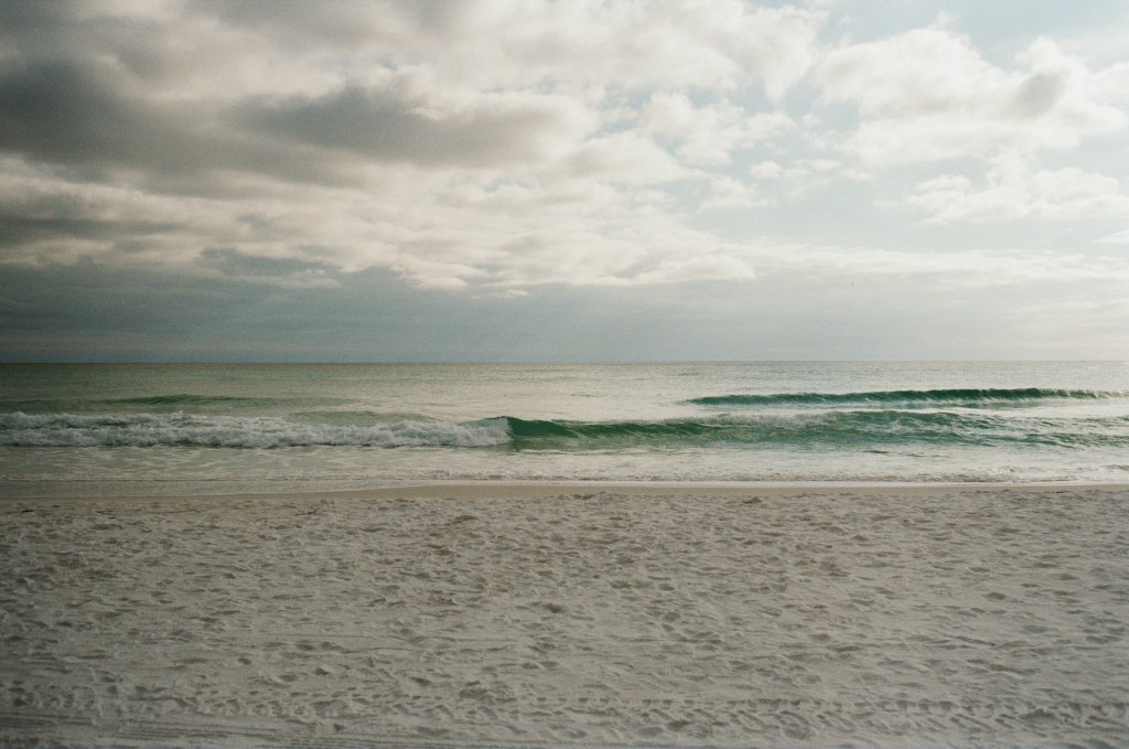 Whitley Cally – The artist and the art.