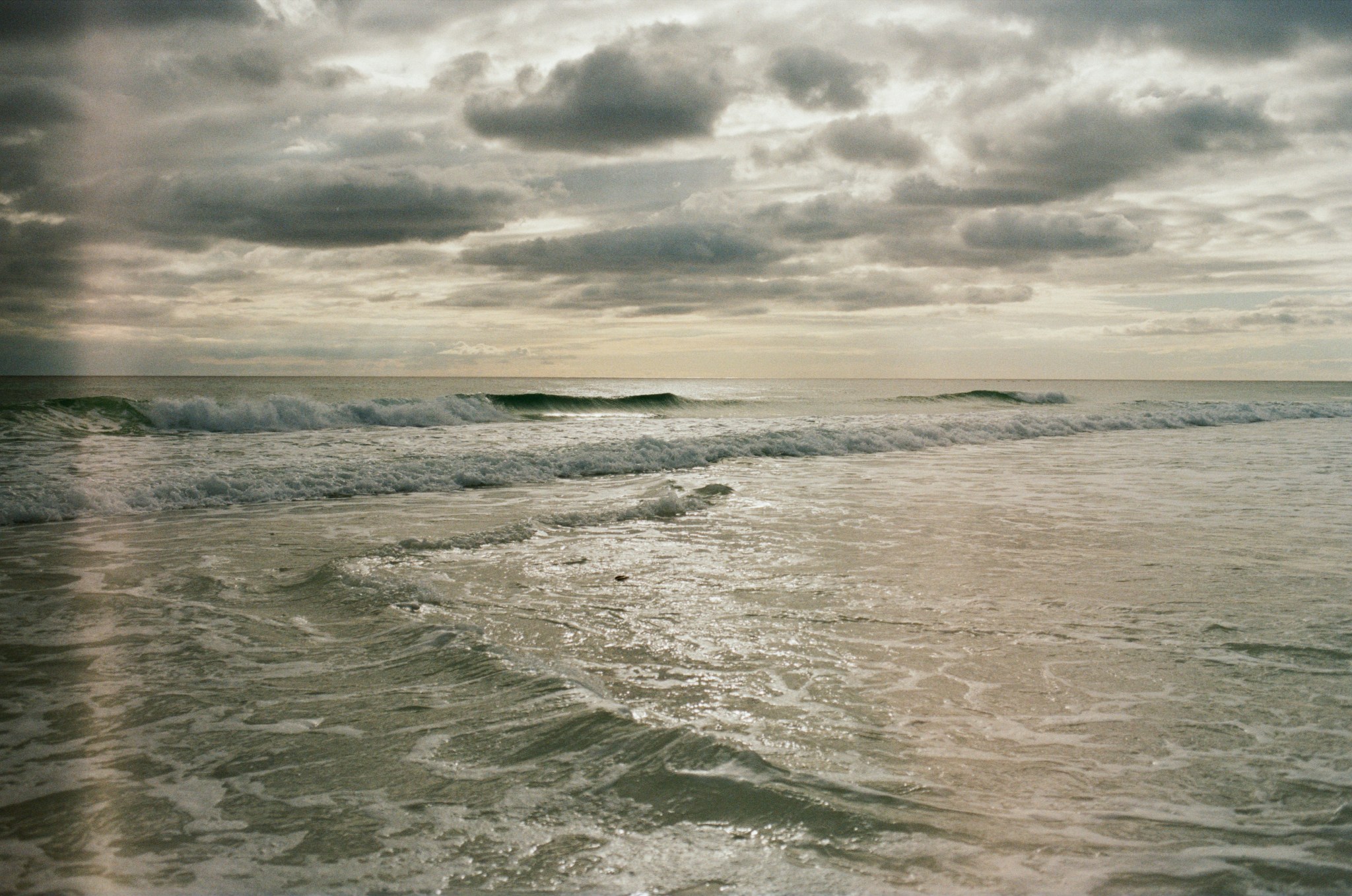 Whitley Cally – The artist and the art.