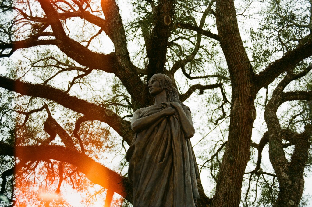 Whitley Cally – The artist and the art.