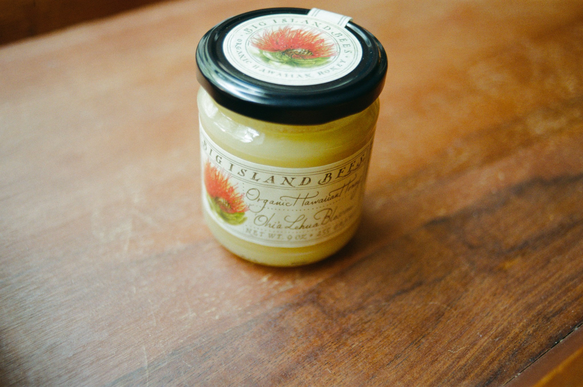 Whitley Cally – The artist and the art.