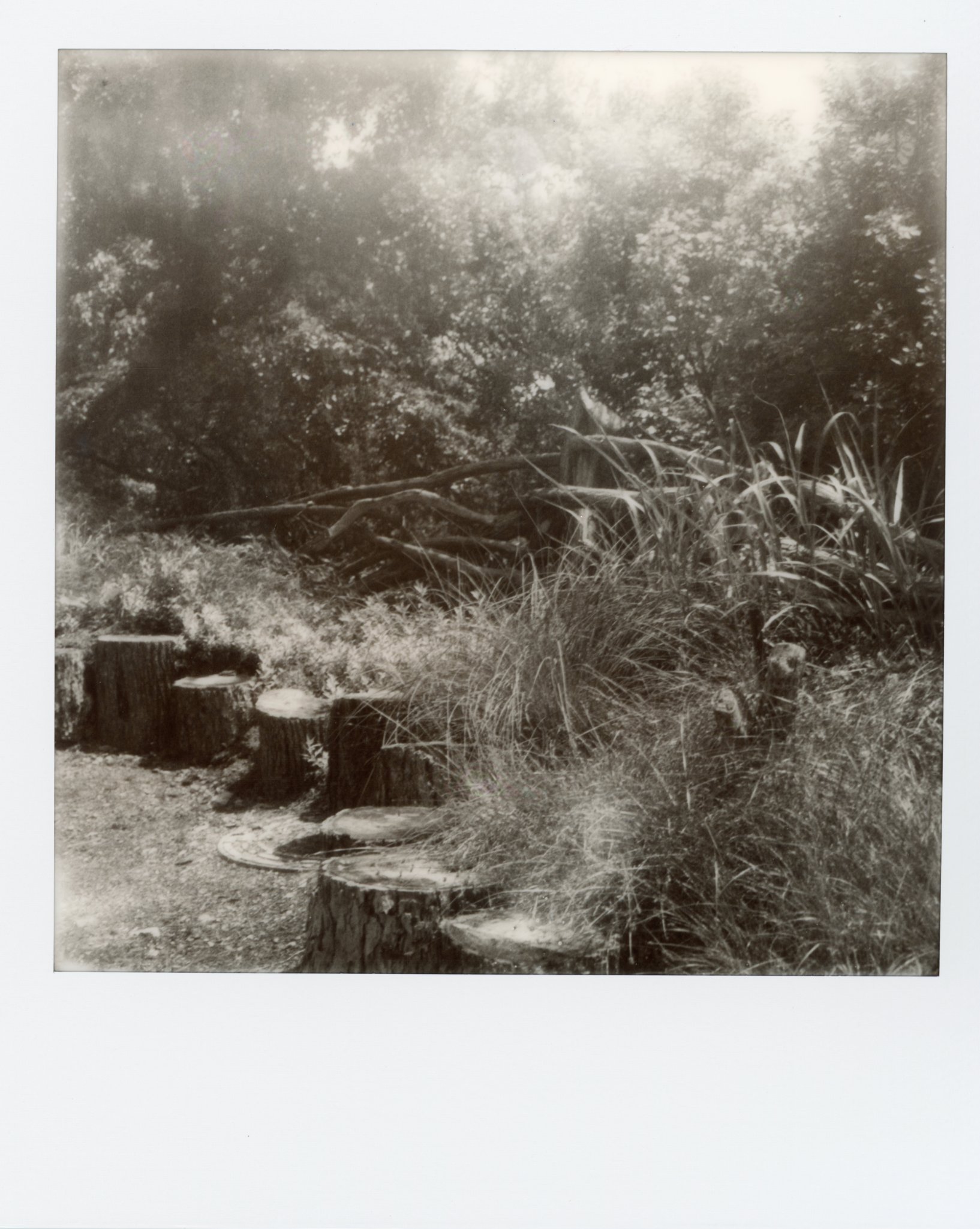 Whitley Cally – The artist and the art.