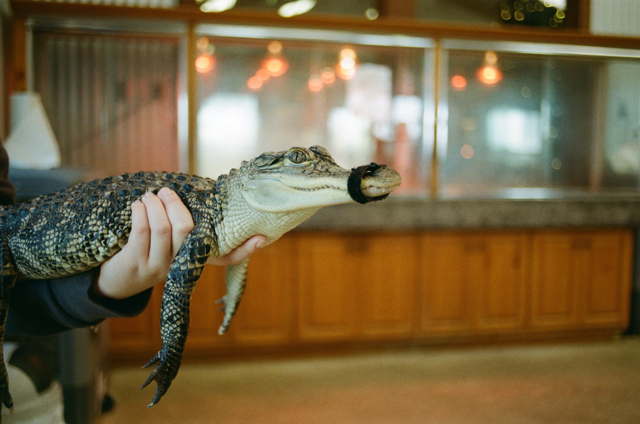 Whitley Cally – The artist and the art.