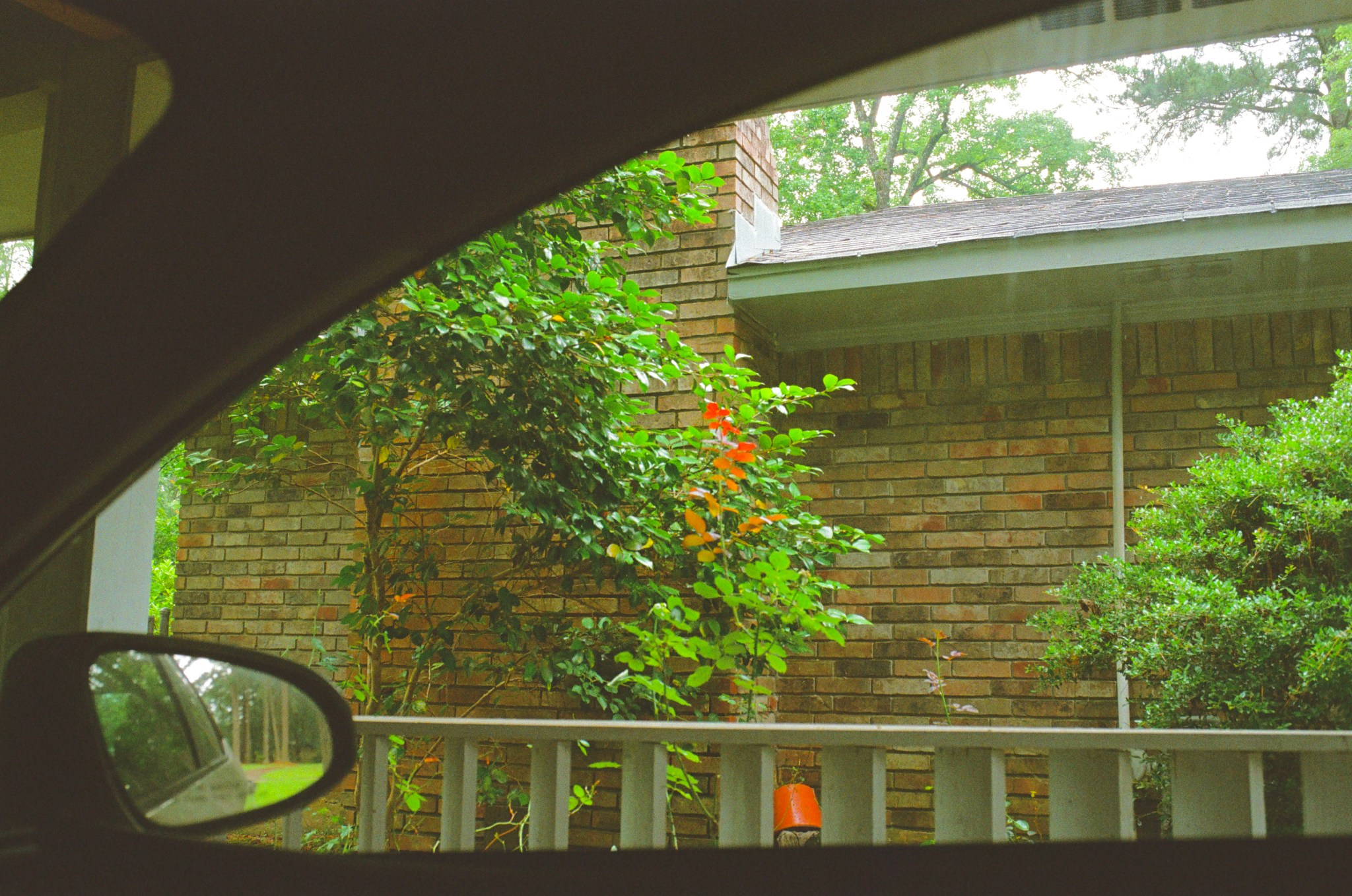 Whitley Cally – The artist and the art.