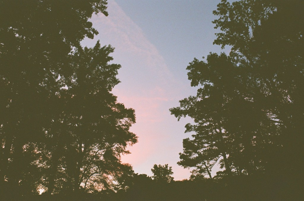 When light yields to the dark at the end of every day – Whitley Cally