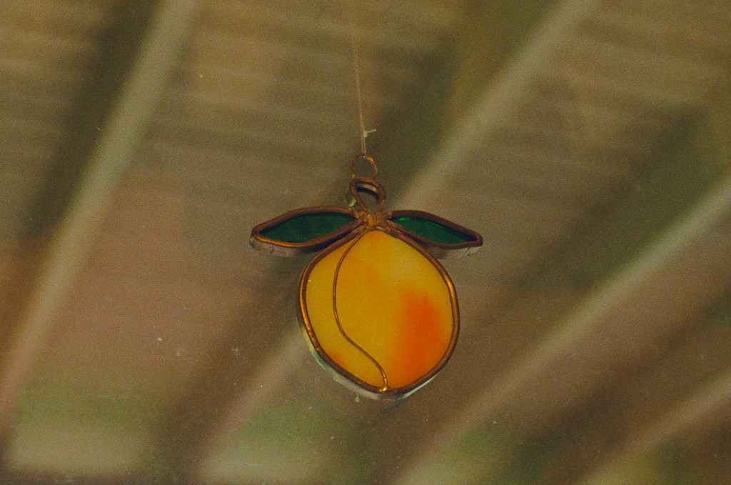 Whitley Cally – The artist and the art.