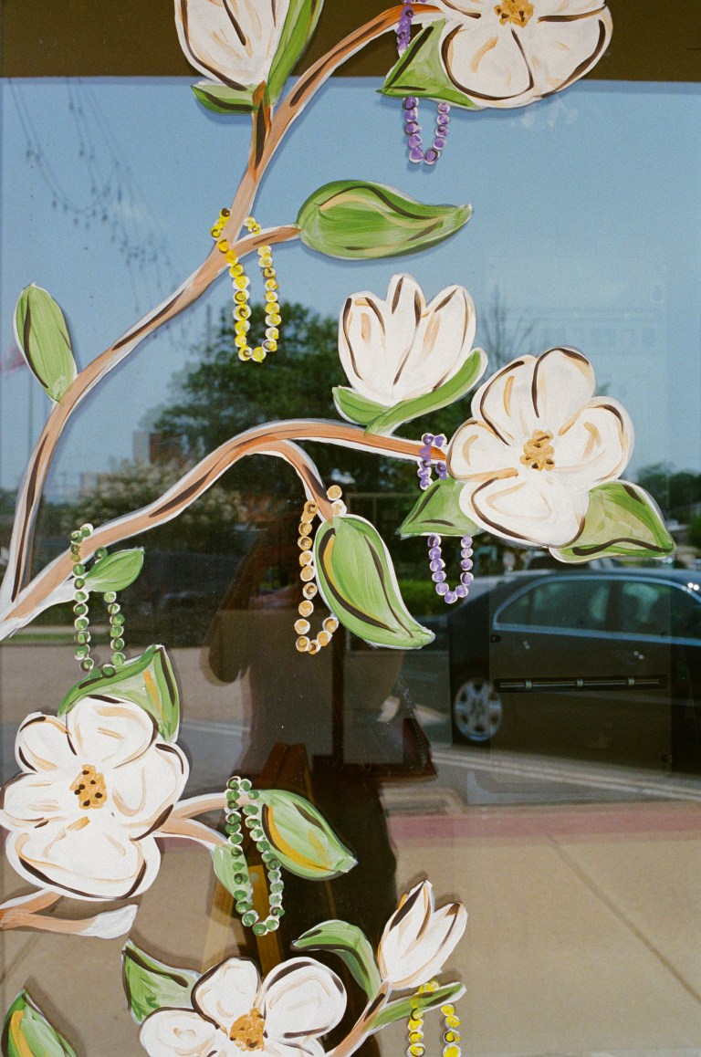 Whitley Cally – The artist and the art.