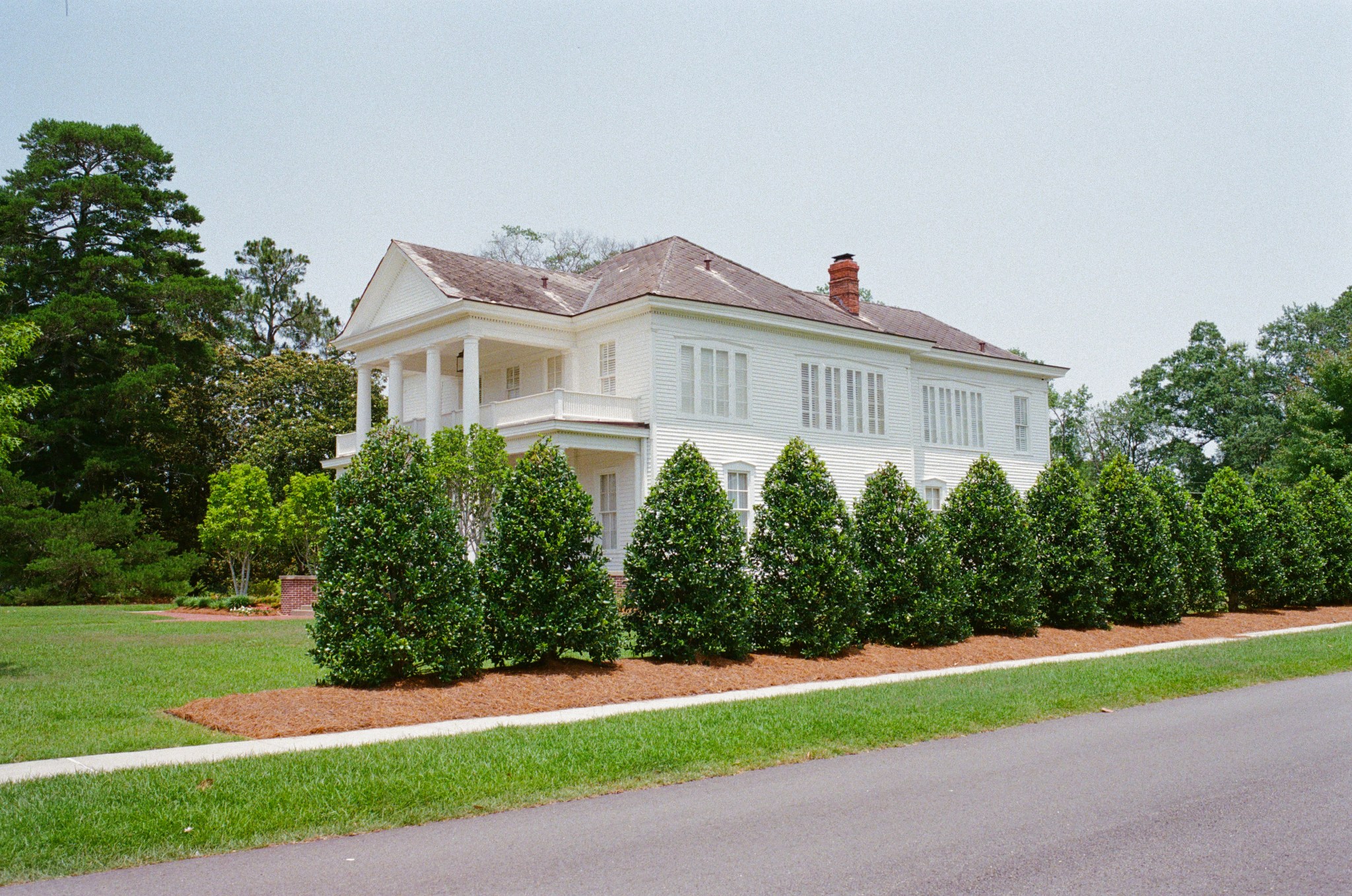 Whitley Cally – The artist and the art.