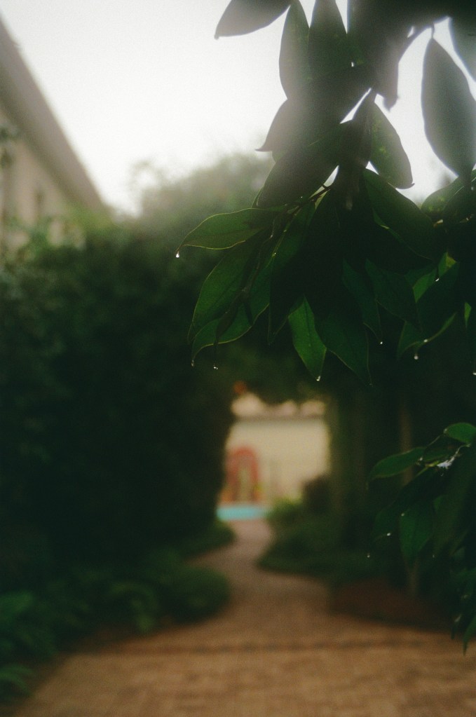 Whitley Cally – The artist and the art.