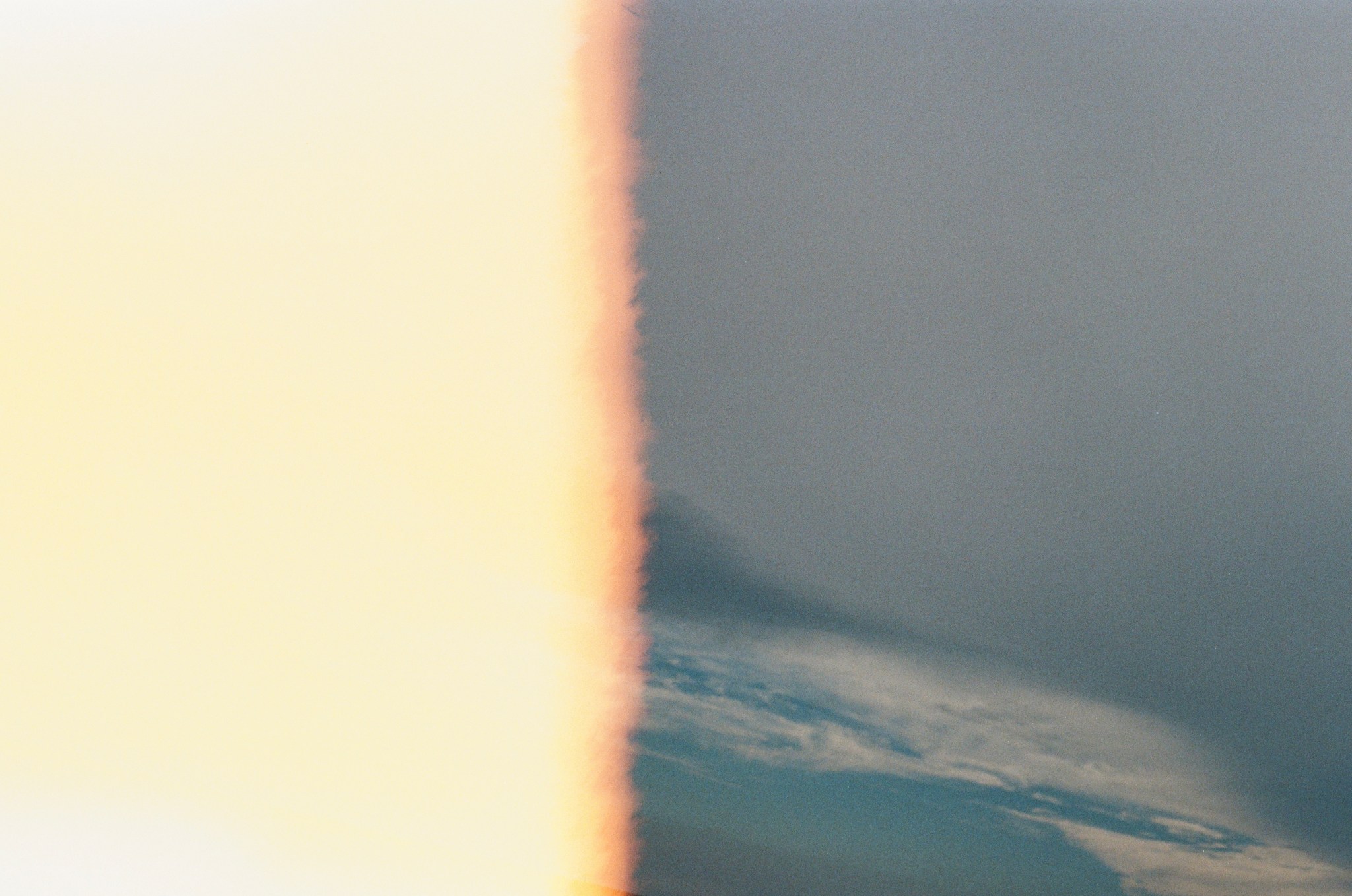 Whitley Cally – The artist and the art.